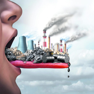 maggie ward haberleri