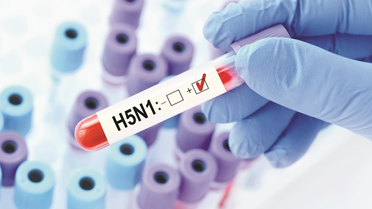 Kuş gribi salgınına tek mutasyon yetiyor