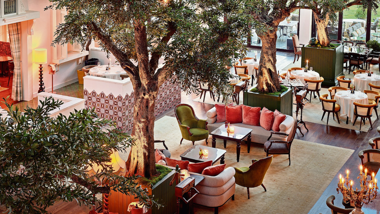 aliee istanbul yonetim kurulu uyesi zeynep tamince roportaji